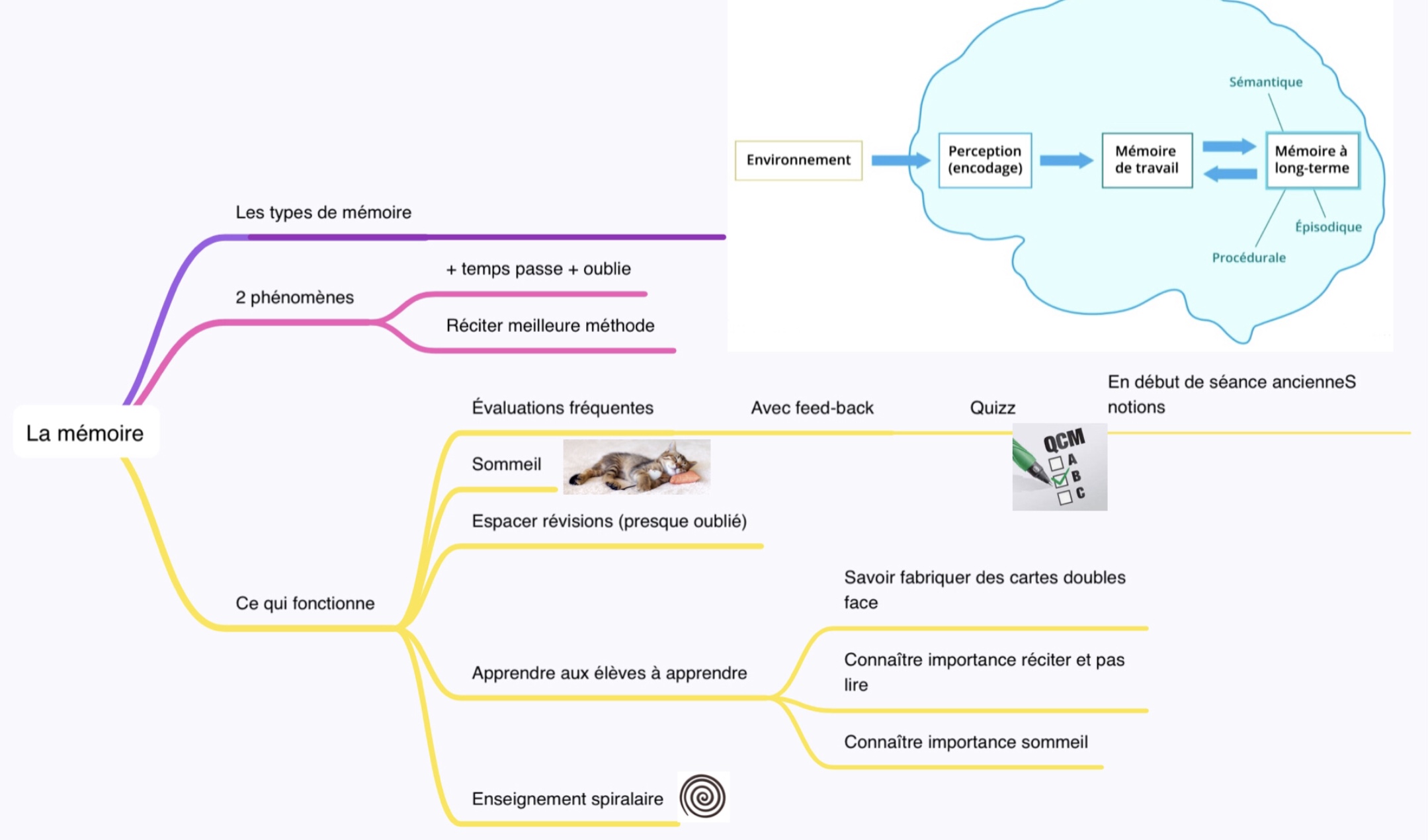 Lost in class - La classe de Mme Pérain et Lost - La psychologie pour les enseignants