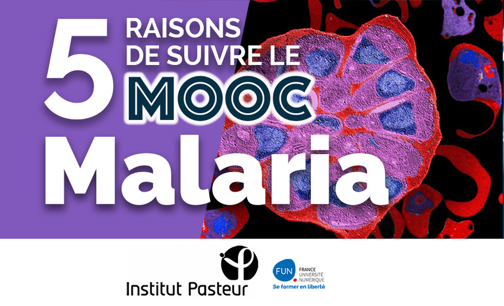 FUN - 5 raisons de suivre le MOOC Malaria
